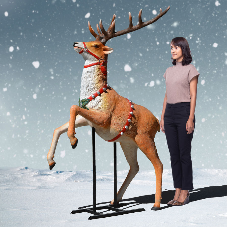 Reindeer & Animals – Christmas Night Inc