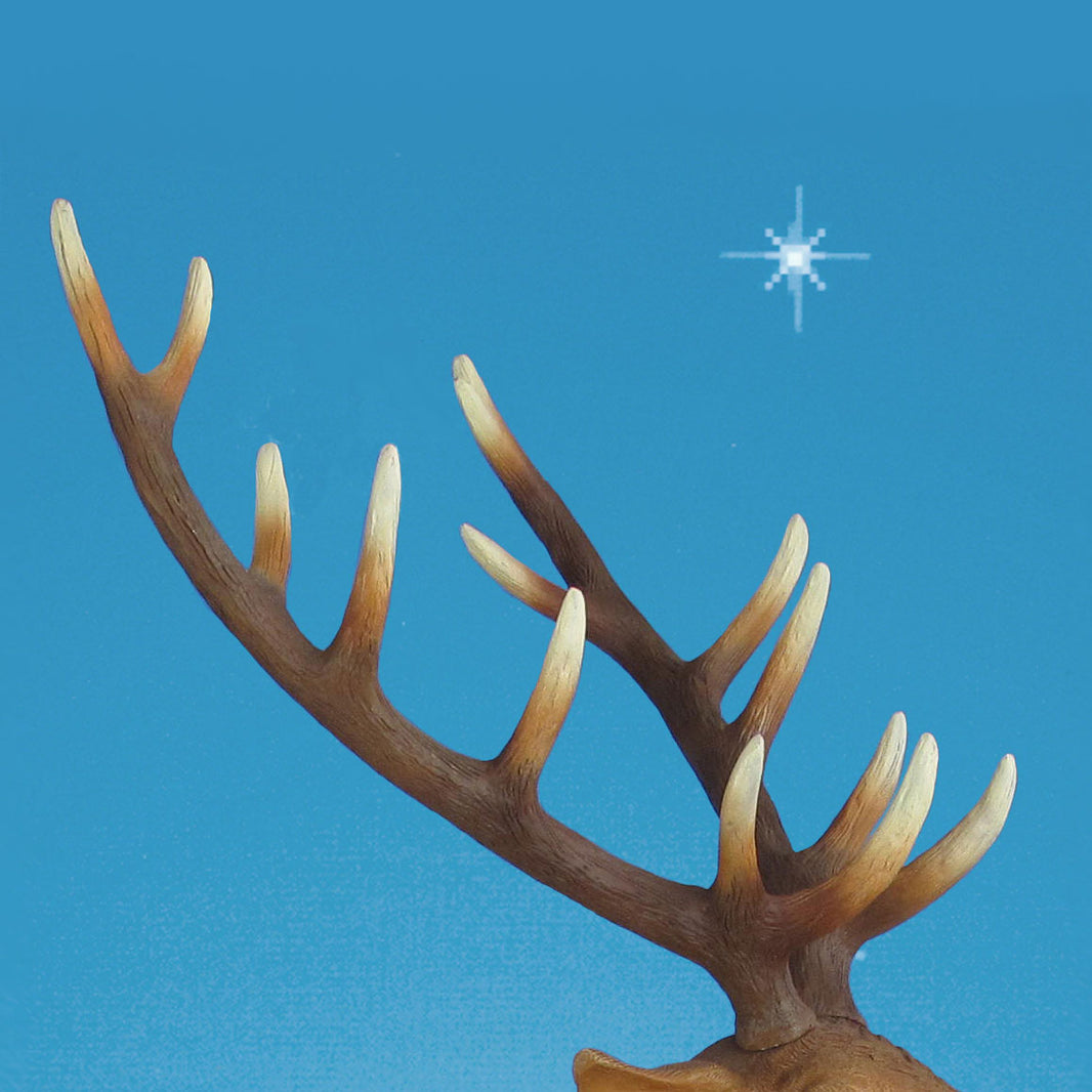 Reindeer & Animals – Christmas Night Inc