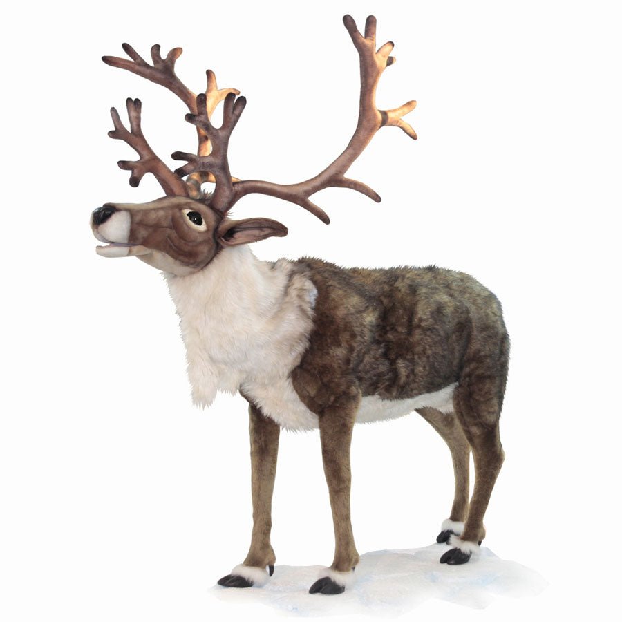 Reindeer & Animals – Christmas Night Inc